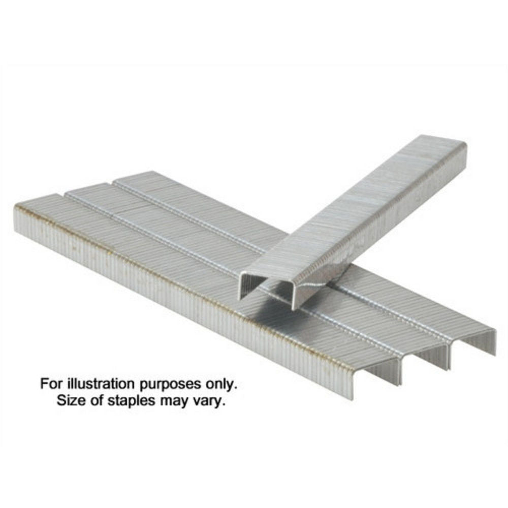 71/6mm Stainless Steel Staples 10,000 Per Box | Bulldog Fix